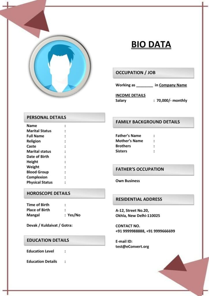 Artistic Biodata for Marriage in Word (Download in Word)